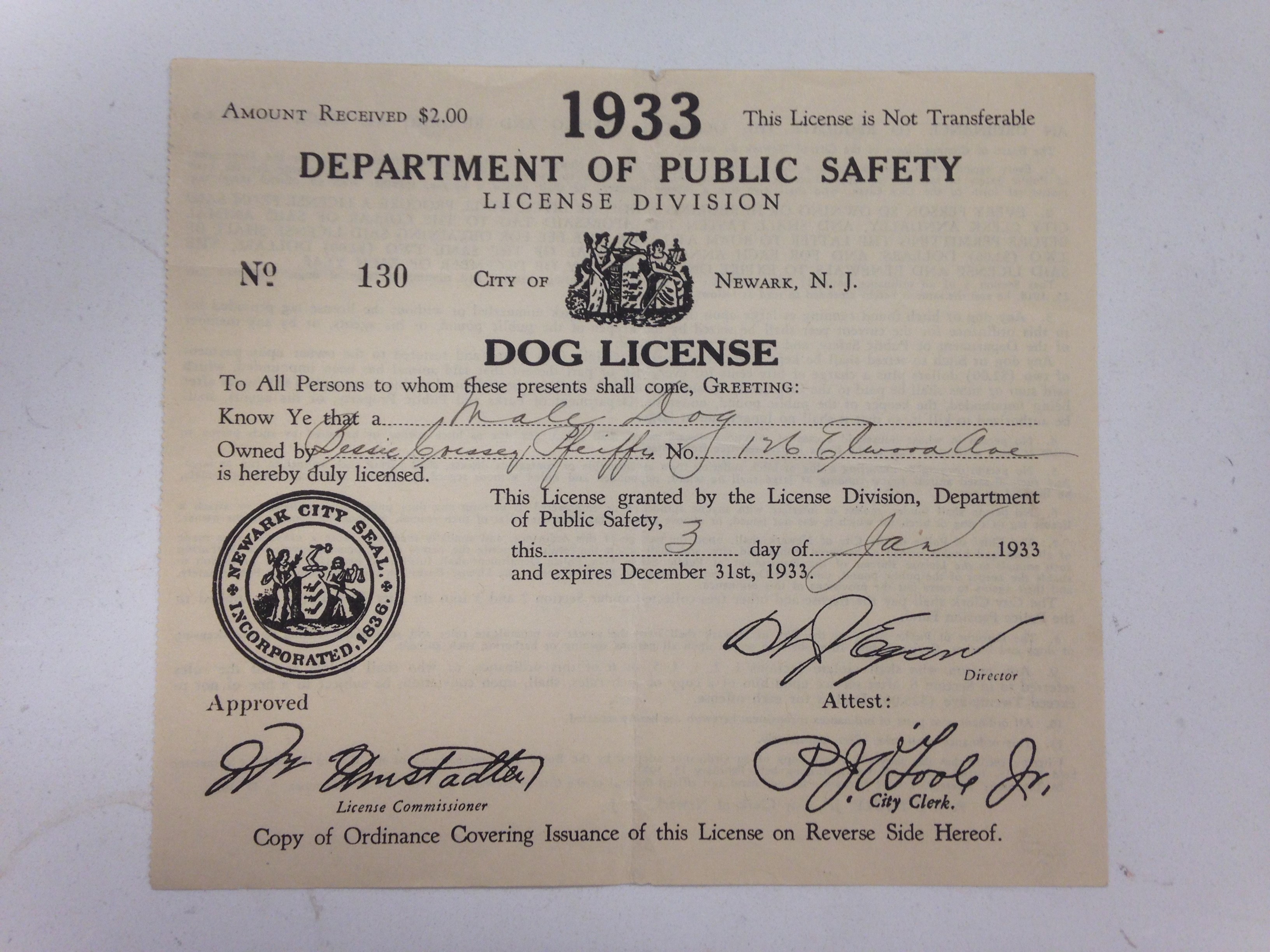 Newark Dog License 1933 – Newark's Attic