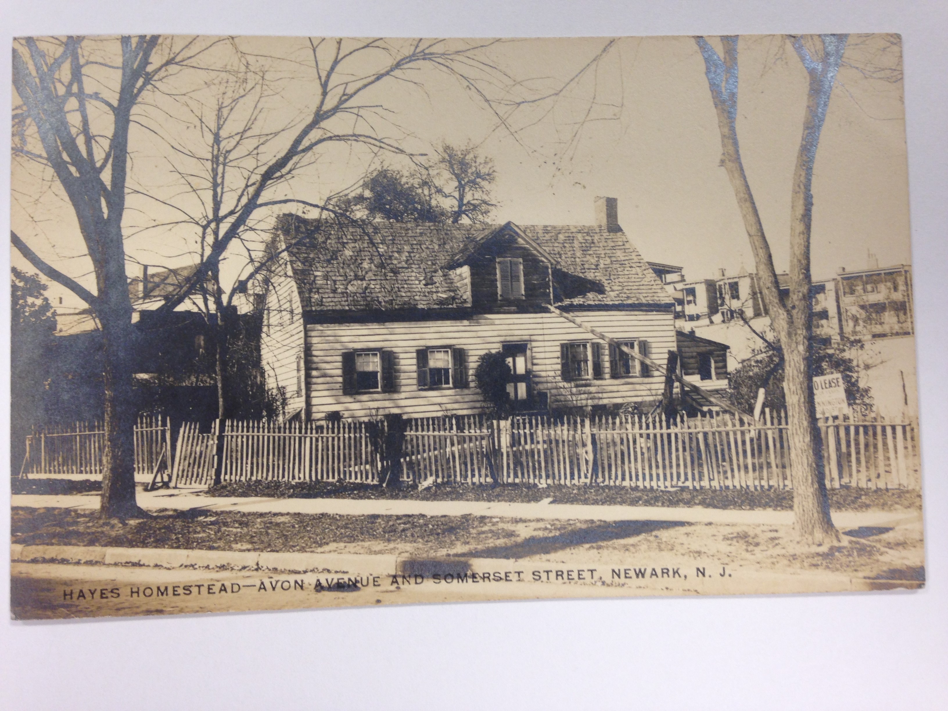 hayes – Newark's Attic